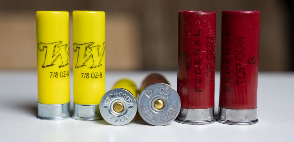 20 Gauge Shotgun Shell