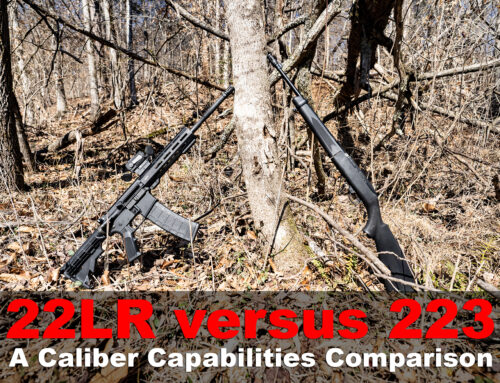 300 Blackout vs 223 | What's the Difference Between Them?