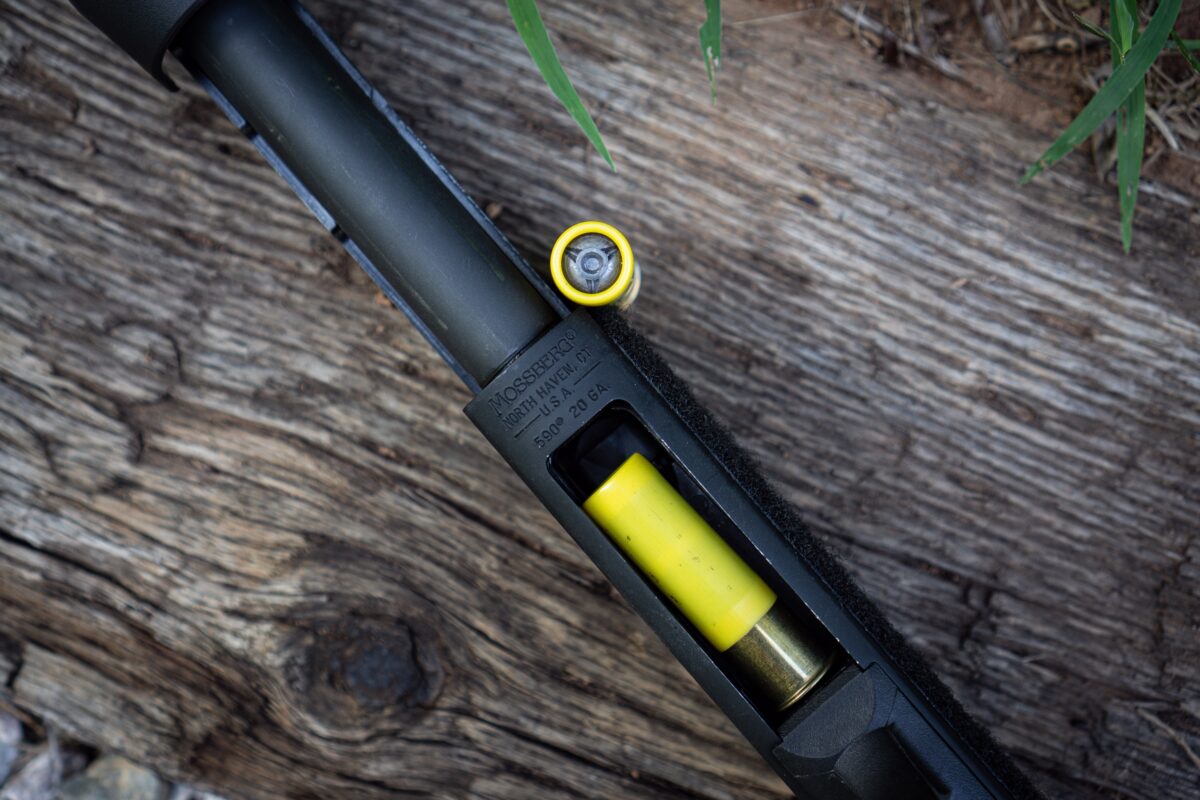 Mossberg Shockwave Review | A Better Buckshot Blaster?