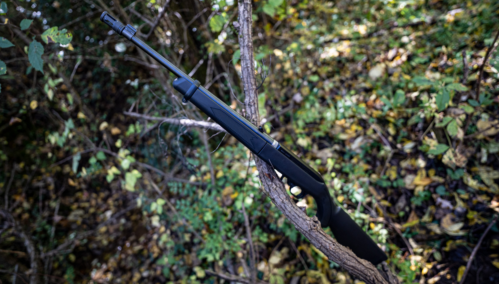 What Can You Hunt With A 22? | AmmoForSale.com