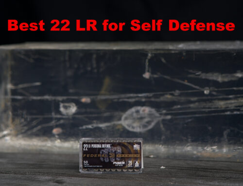 Most Powerful 22 Mag Ammo | Best Bets for Self-Defense & Hunting