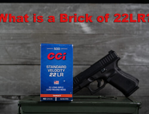 What is the Most Powerful .22 LR Ammunition?